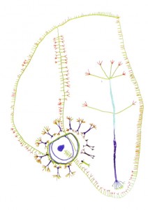 Projections of the Forest-Land: The Yanomami Image-Drawing | Laymert ...
